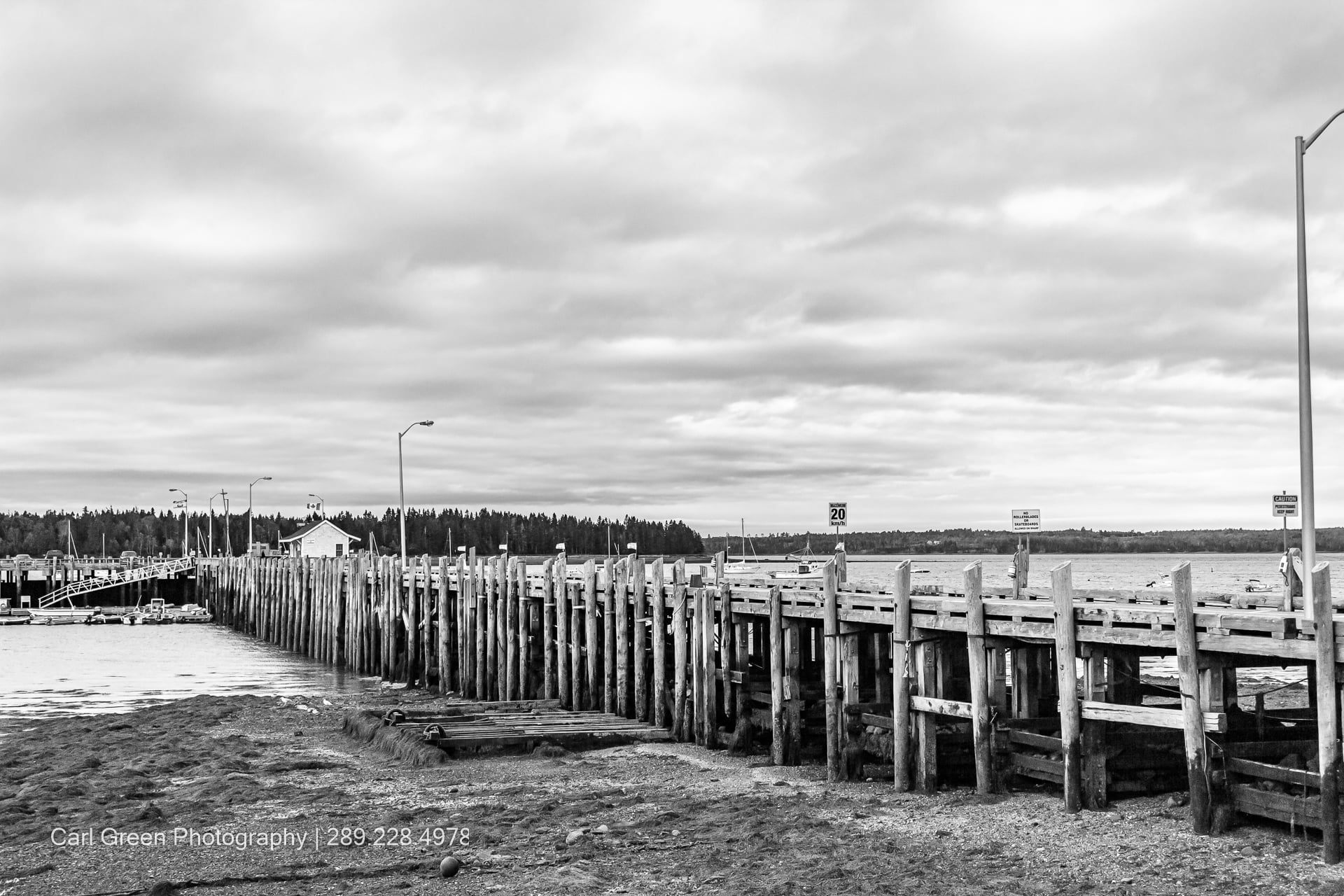 The Dock - GYST Services